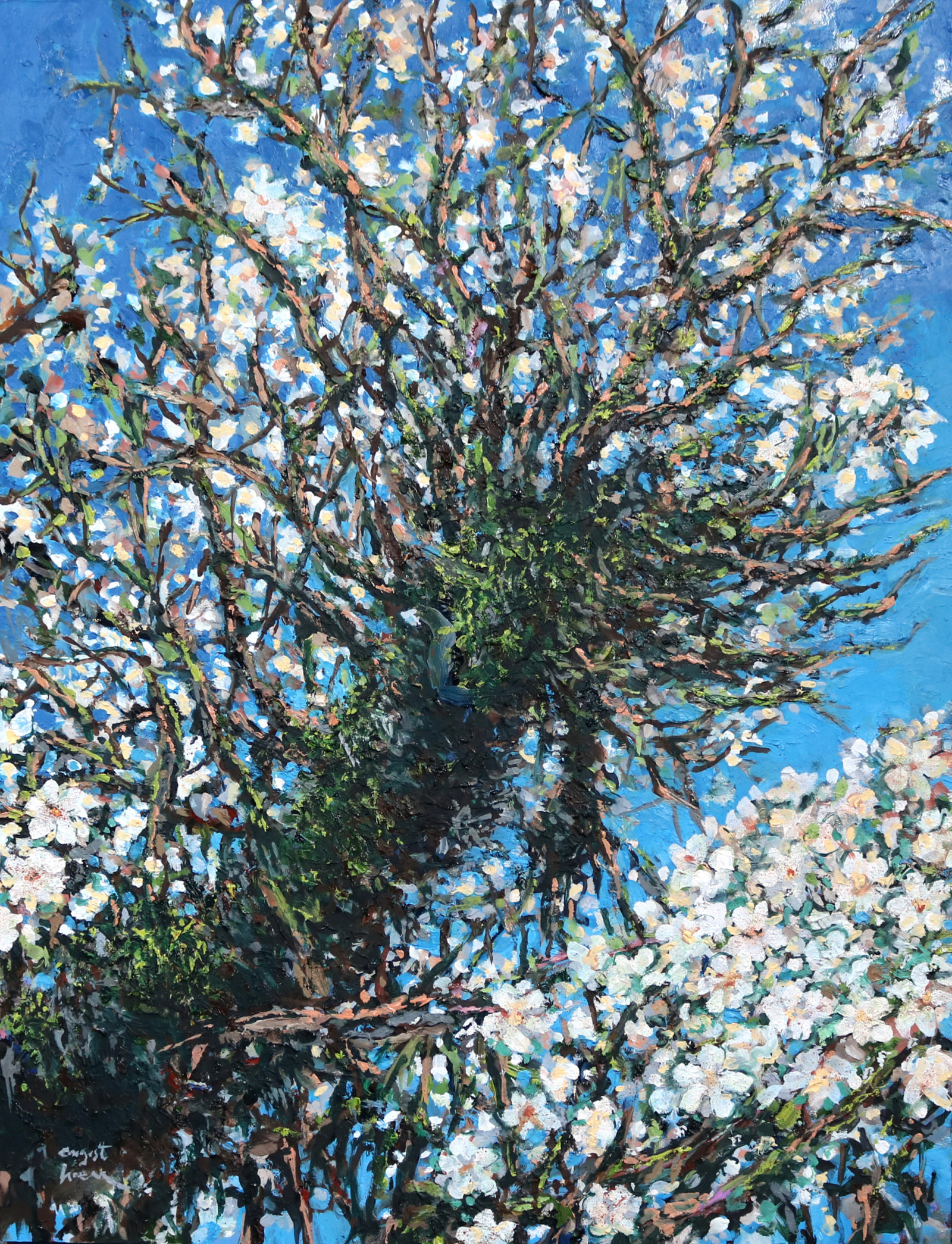 mugurel III – August Hoerr